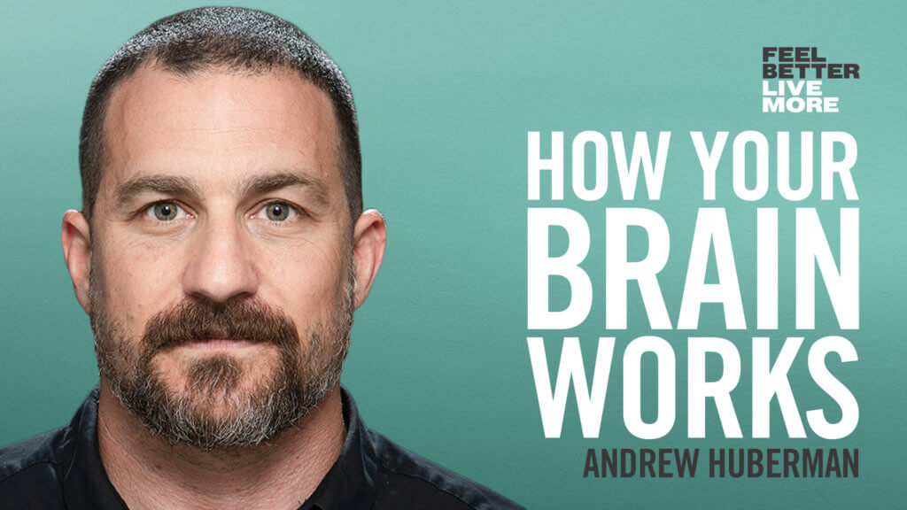 Dr Andrew Huberman The One Daily Practice Everyone Should Do Training