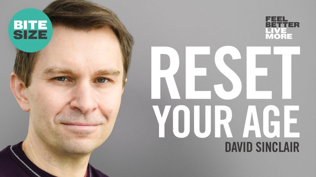 Reverse Ageing - Professor David Sinclair / Feel Better, Live More Podcast