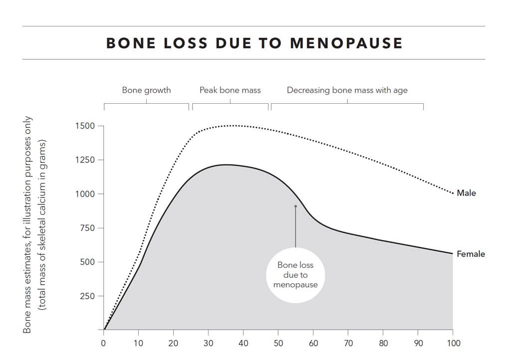 Everything You Need To Know About Menopause with Professor Annice ...
