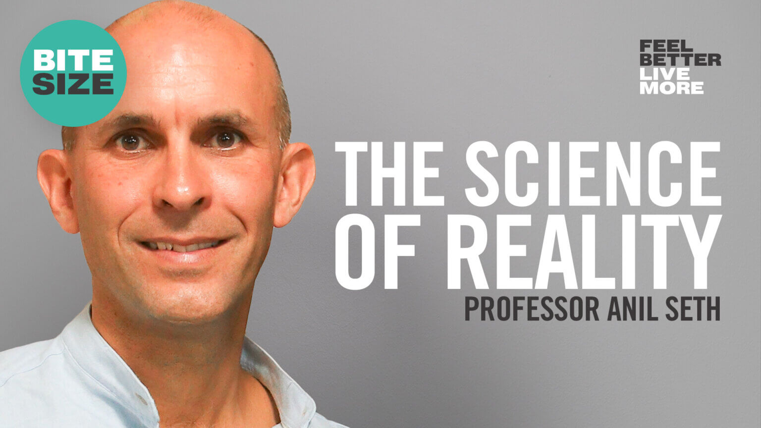 How Your Brain Creates Reality with Prof. Anil Seth / Feel Better, Live ...
