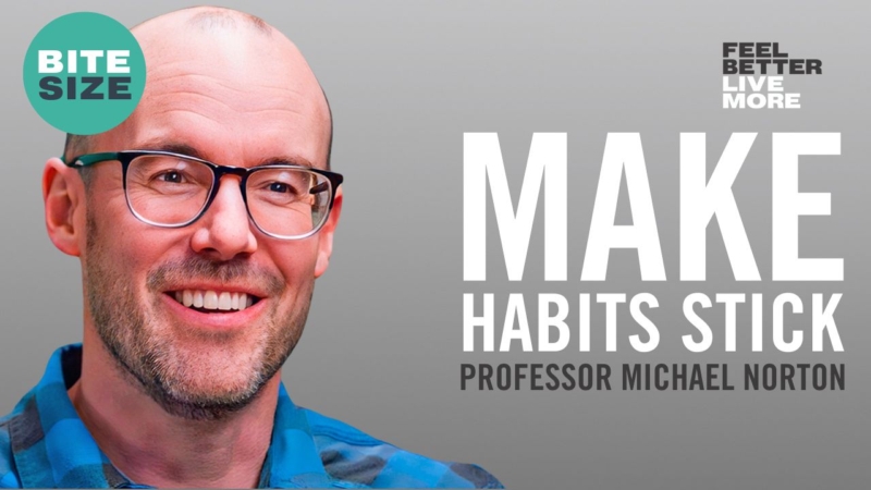 BITESIZE | The Surprising Secret to Making New Habits Stick | Professor ...